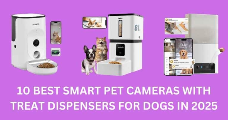 10 Best Smart Pet Cameras with Treat Dispensers for Dogs in 2025: Toss ...