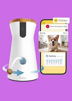 10 Best Smart Pet Cameras with Treat Dispensers for Dogs in 2025: Toss ...