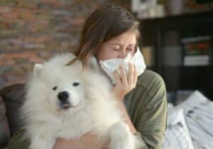 2025 Guide to 105 Dog-Friendly Stores in the USA: Pet Policies & Tips ...