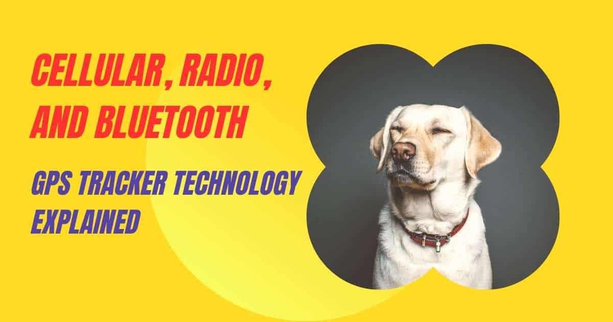 Pet Tracker Technology Explained: Cellular, Radio, and Bluetooth ...