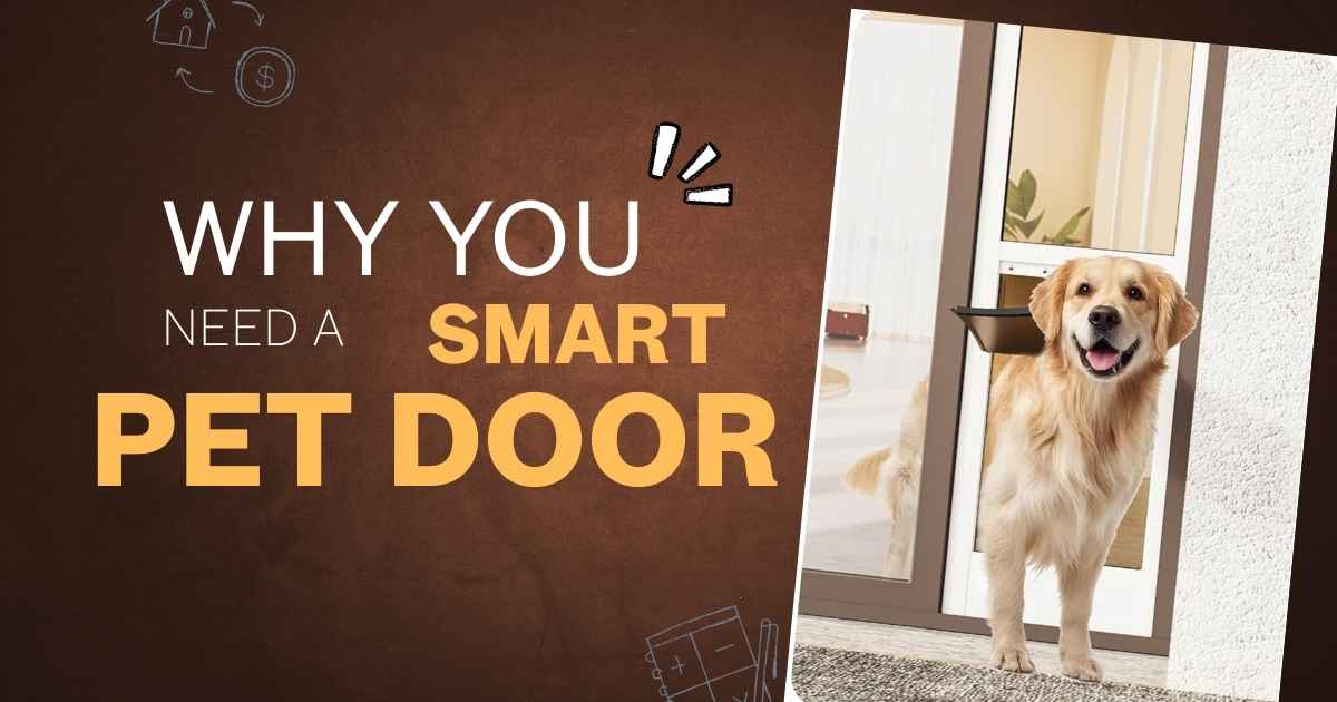 12 Game-Changing Benefits of Smart Pet Doors That'll Transform Your ...